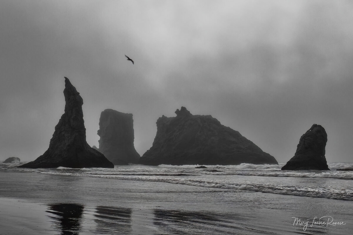 Ultimate Oregon Coast Photo Workshop - John Pedersen Photography